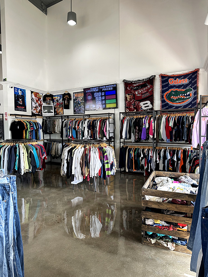 Color-coded organization transforms the shopping experience from chaotic rummaging to pleasant browsing – like a library of wearable history.