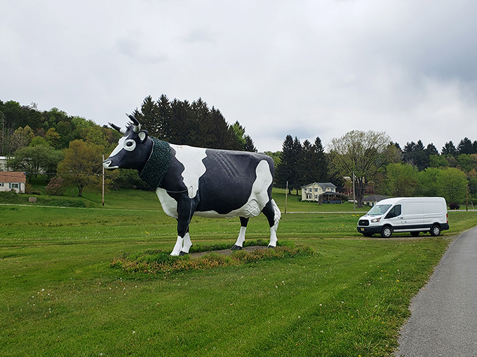 "Honey, pull over&mdash;there's something large and cow-shaped I need to investigate!" The quintessential roadtrip moment captured in rural Pennsylvania.