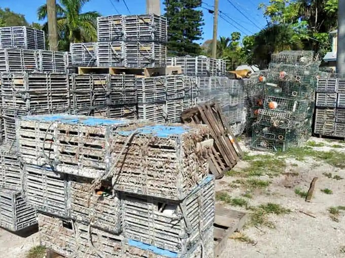 Stacked crab traps tell the story of Cortez's working waterfront better than any brochure. Each weathered trap represents countless early mornings and calloused hands.