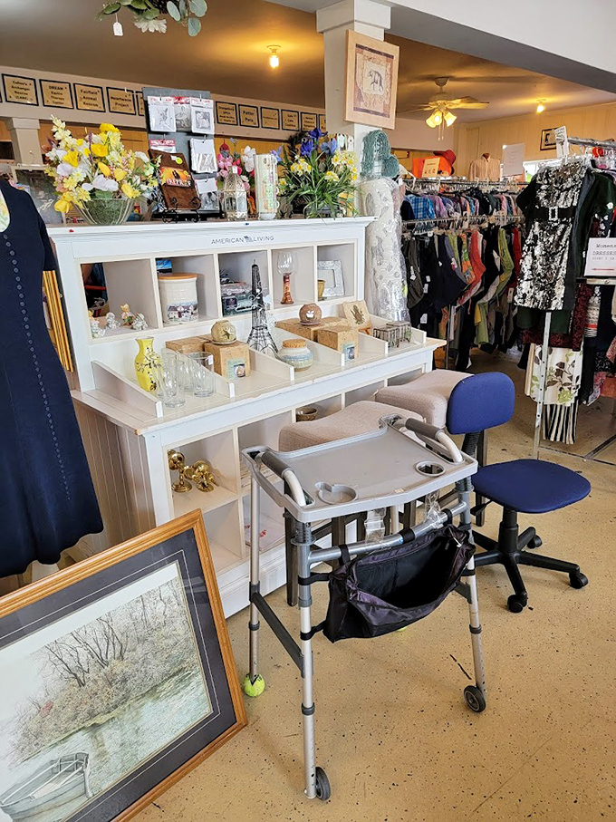 The media and collectibles section &ndash; where yesterday's bestsellers meet forgotten treasures. That VHS collection might include the movie your streaming service mysteriously dropped! 