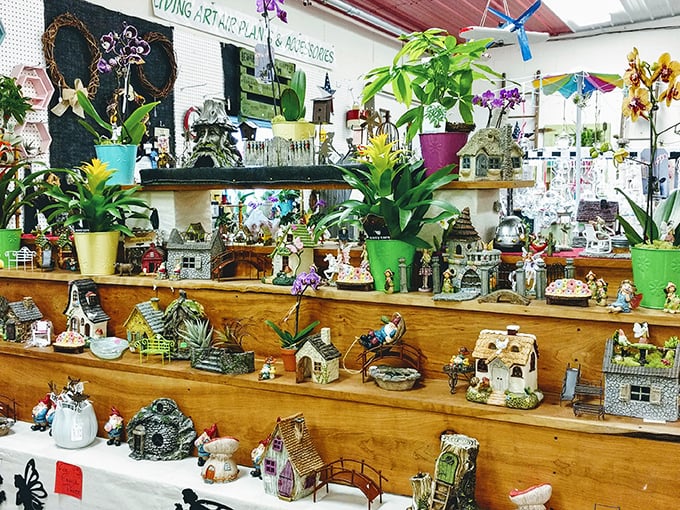 Miniature fairy gardens and whimsical houses create tiny worlds of wonder. Who knew adults could get so excited about dollhouse-sized accessories?