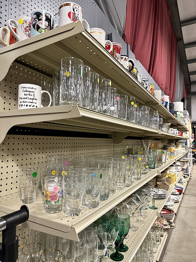 Glassware galore! From quirky mugs with motivational messages to elegant stemware, your cabinet refresh is just a few dollars away.