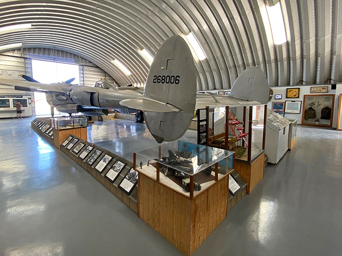 Aviation history in miniature&mdash;model aircraft hover above display cases filled with the smaller stories that complete the bigger picture of flight.