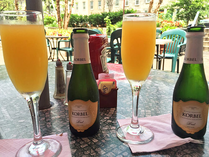 Mimosas: because sometimes breakfast needs a little sparkle. These sunshine-colored glasses promise a brunch that might stretch lazily into afternoon. 