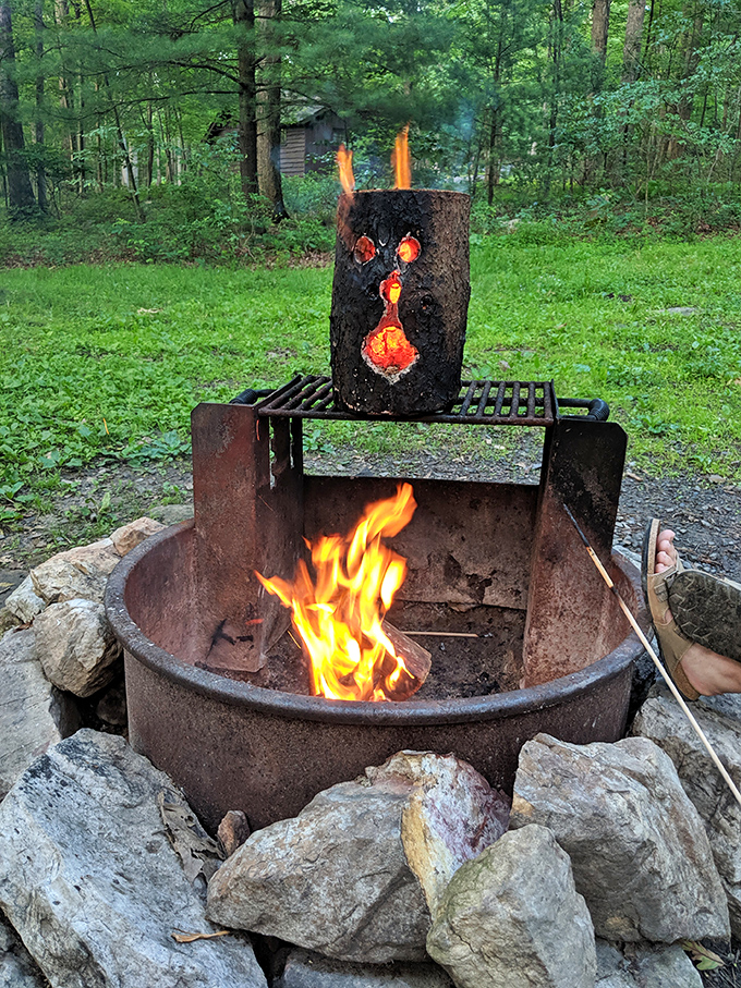 Campfire magic at its finest! This Swedish fire log (or "Pennsylvania TV" as the locals call it) hypnotizes with dancing flames.