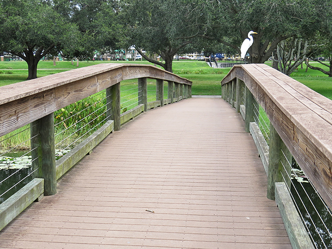 That egret isn't just posing for your photo &ndash; he's showing off the prime real estate that comes standard with Leesburg parks.