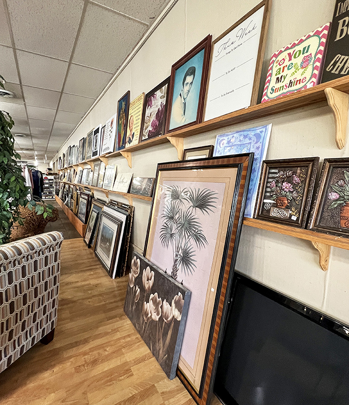 Wall art waiting for new homes, because everyone deserves gallery-worthy decor without the gallery-worthy price tags.