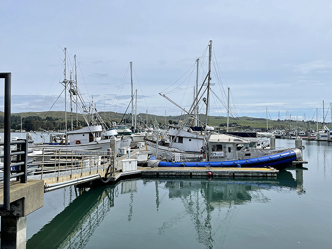 Working fishing boats that aren't just for show &ndash; the maritime equivalent of farm-to-table, except it's ocean-to-plate and involves significantly more diesel.