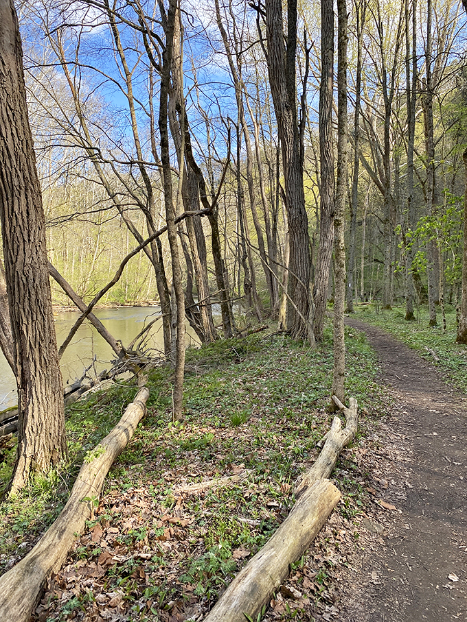 The trail beckons through a corridor of green &ndash; nature's version of the yellow brick road, only with better scenery and fewer flying monkeys.