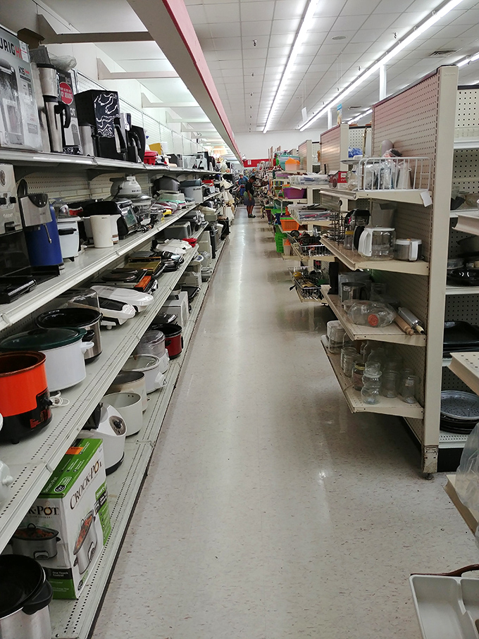 Small appliance alley—where coffee makers, toasters, and slow cookers await their chance to join your kitchen orchestra at a fraction of retail.
