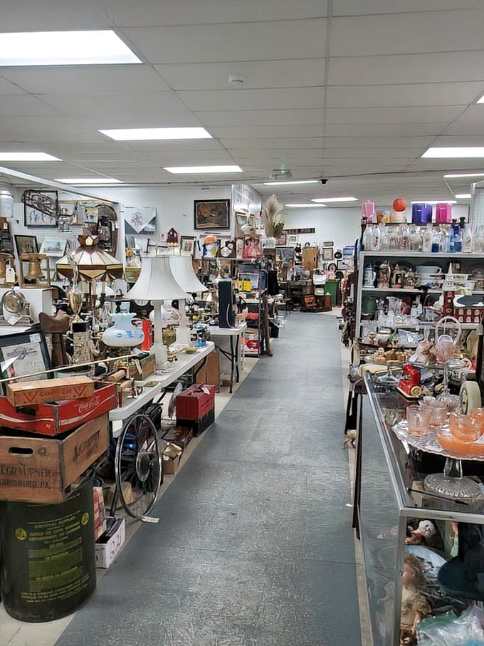 Aisles that stretch into infinity, each shelf a time capsule of American domestic life. The hunt is half the fun.