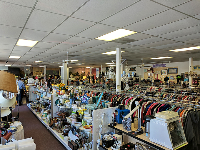 Beneath Paris-inspired murals, racks of silk blouses and display cases of jewelry create a boutique experience at thrift store prices.