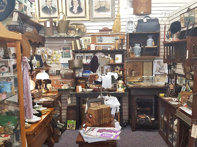 A collector's paradise where every shelf holds potential treasures. The thrill of the hunt is half the fun in this carefully curated maze.