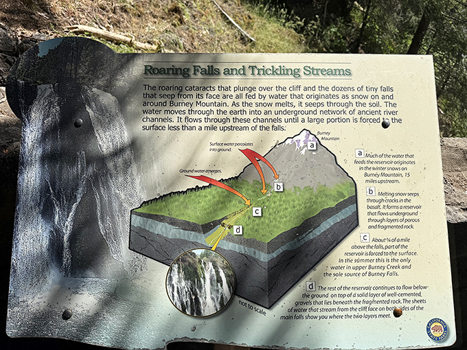 Nature's engineering explained &ndash; turns out this waterfall has a fascinating underground story that rivals any Netflix documentary.