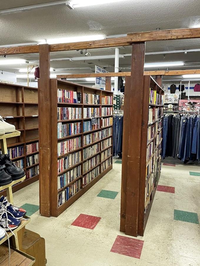 Book lovers, prepare to lose track of time. These wooden shelves hold forgotten bestsellers and hidden gems waiting for their next reader.