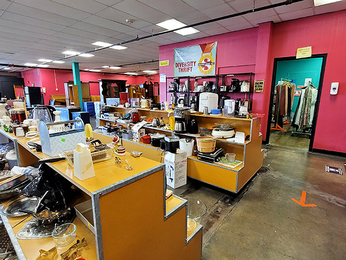 A treasure hunter’s paradise awaits you among these colorful shelves packed with vintage kitchenware, unique home goods, and hidden gems.