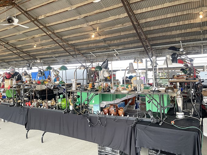 Vintage lamps and lighting fixtures hang like illuminated jewelry, each with the power to transform a room's entire personality.