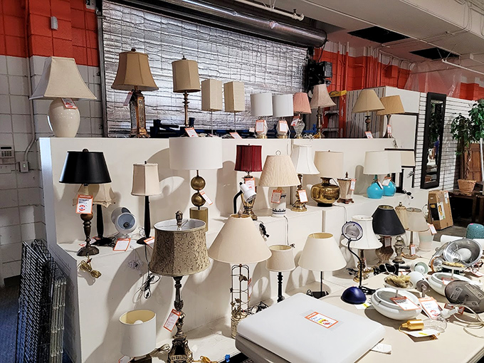 Lamp heaven! From mid-century ceramic to brass fixtures, these lights have illuminated someone else's life stories and are ready for yours.