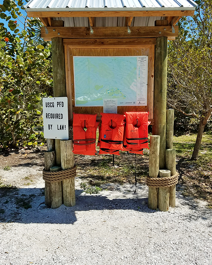 Safety first, adventure second! These life vests might not be fashion statements, but they're your ticket to exploring the mangrove kingdom worry-free.