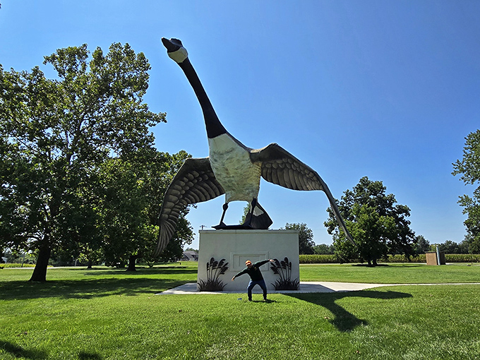 Scale becomes wonderfully apparent when humans pose with Maxie. This clever visitor found the perfect stance to complement our feathered friend.