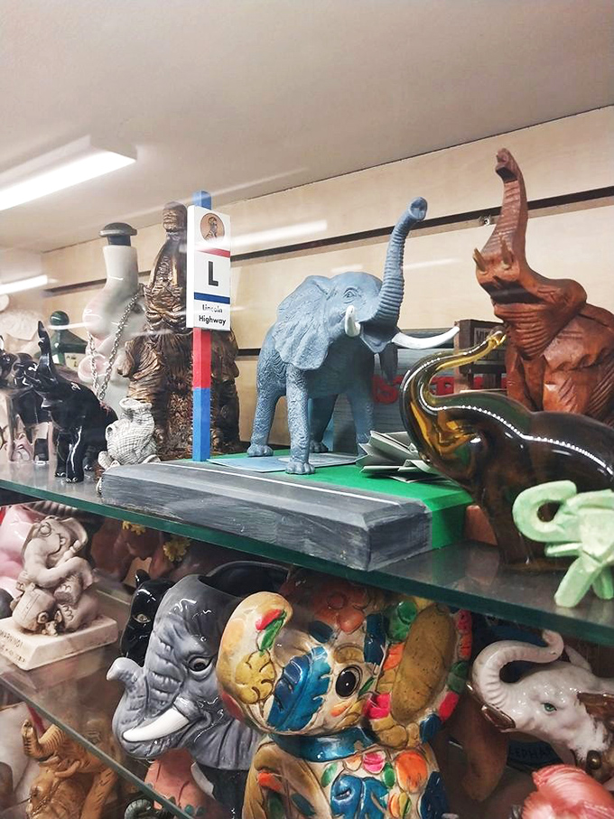 Miniature elephants march across shelves in perfect formation, creating whimsical displays that spark childhood wonder.