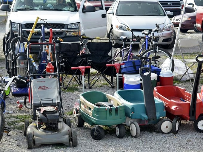 The lawn equipment lineup looks like a retirement community for faithful yard companions, each with stories of suburban battles etched into their handles.