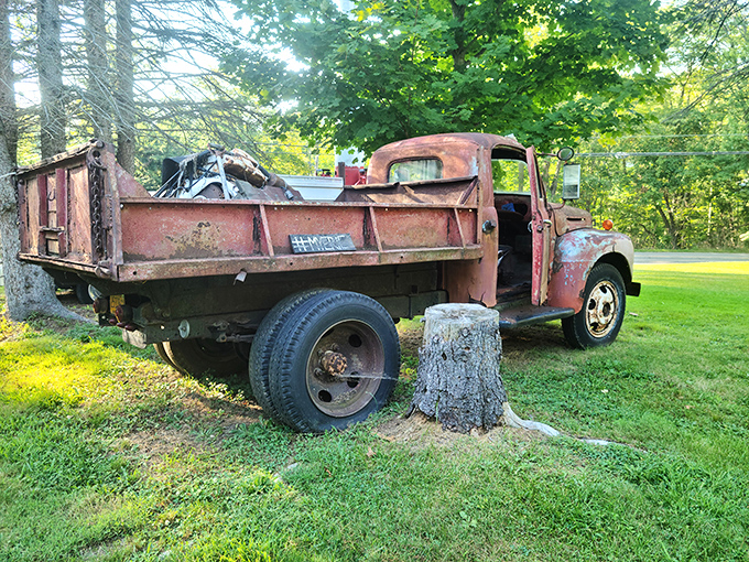 Some trucks retire to farms; this one became the farm. A rusty reminder that in Pennsylvania, even vehicles get charming second acts.