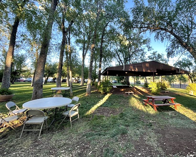 The outdoor dining area offers a tranquil retreat under Arizona pines, where the only thing better than the view is knowing dinner is on its way.