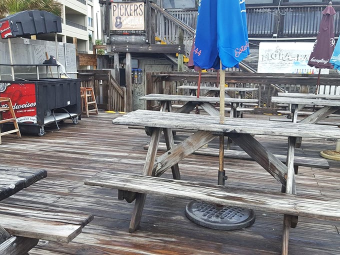 Weather-beaten picnic tables that have hosted more memorable conversations than most therapists' offices.