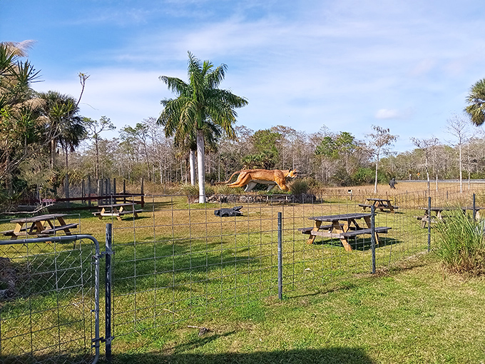 The perfect spot for a picnic with a side of cryptozoology! This outdoor area lets you contemplate the mysteries of the Everglades while enjoying Florida's famous sunshine.