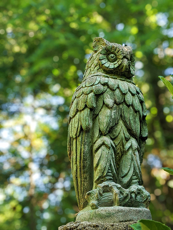 Wisdom watches over the garden paths. This owl sculpture has seen thousands of visitors but keeps all garden secrets to itself.