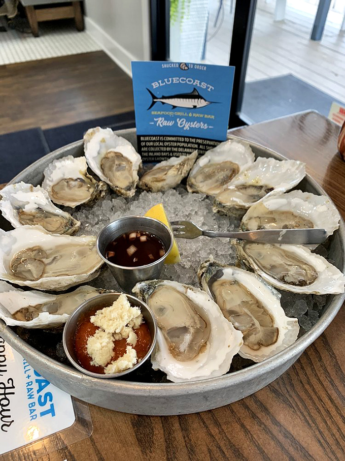 A dozen oysters on ice&mdash;nature's perfect appetizer and the ocean's way of saying "I brought you something special."