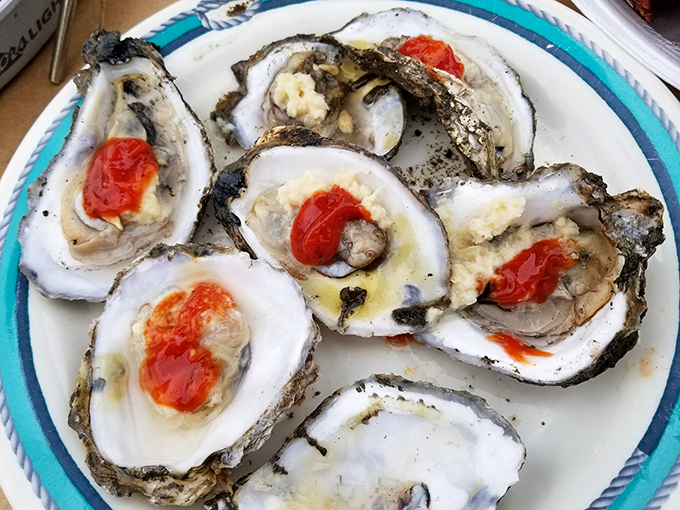 Fresh oysters on the half shell, each one a briny kiss from the Chesapeake Bay's finest waters.