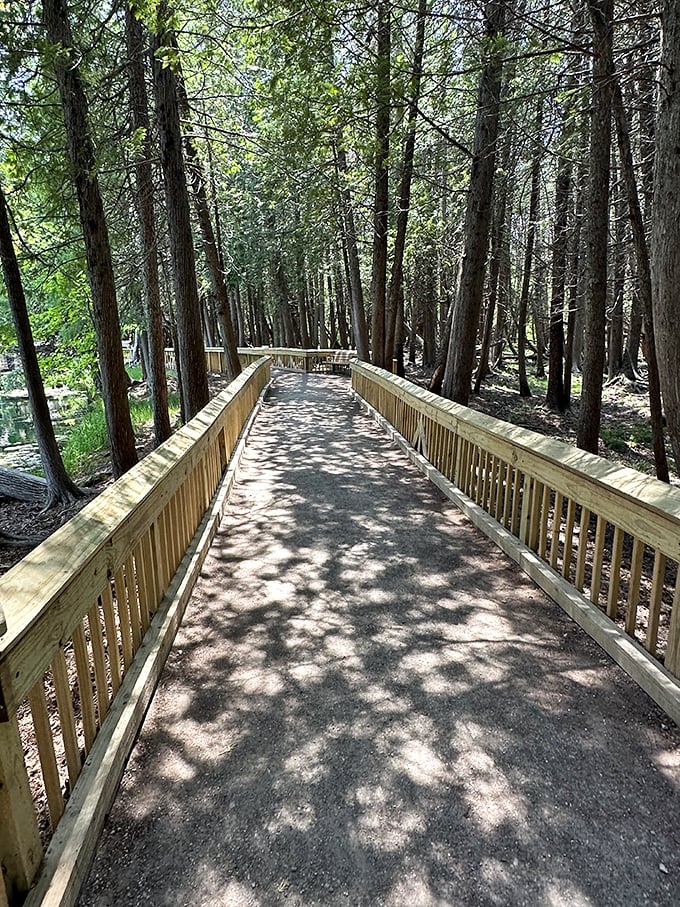 The path less traveled? Not anymore! This accessible boardwalk invites visitors of all abilities to experience Michigan's hidden gem. 