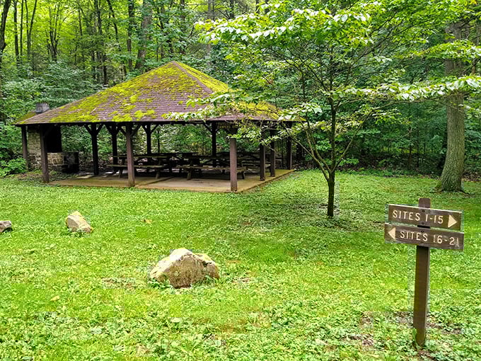 This woodland pavilion offers shelter without sacrificing the forest experience. Perfect for family reunions where at least one relative will mention "the good old days."