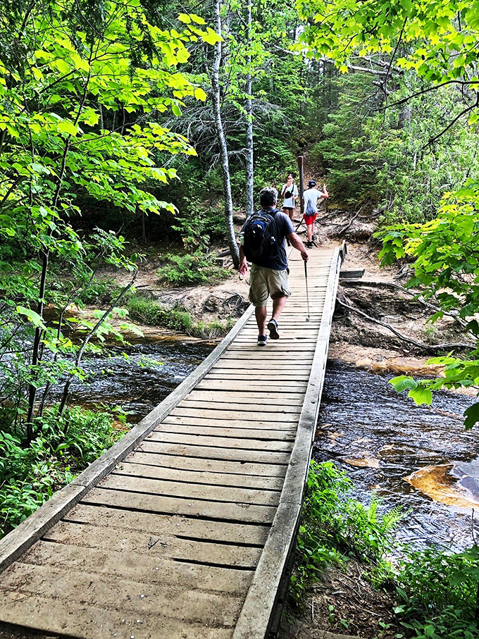 Wooden boardwalks carry hikers across bubbling streams, proving that sometimes the journey through Pictured Rocks is as magical as the destination.