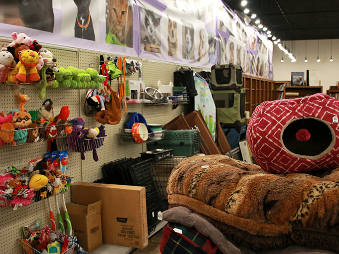 Wall of hope: Each animal photo watches over a wonderland of pet supplies, silently thanking shoppers for their retail therapy contributions.