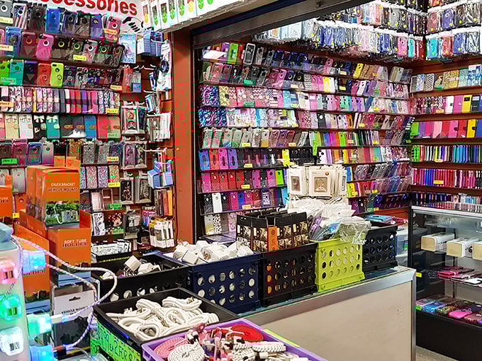 Phone case paradise! Because in 2023, dressing your phone has become as important as dressing yourself.