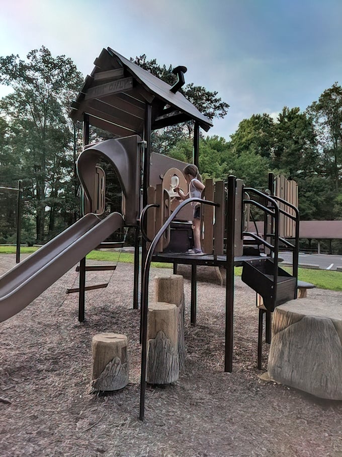 A playground that reminds us that childhood joy doesn't require batteries, Wi-Fi, or a monthly subscription fee.