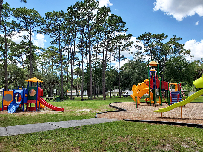 Even the playground equipment in Homosassa Springs seems more relaxed, offering kids a splash of color against Florida's natural pine backdrop.