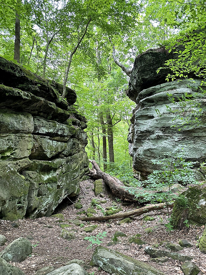 These sandstone formations look like they were carved by an artist, not just centuries of persistent water and weather. 