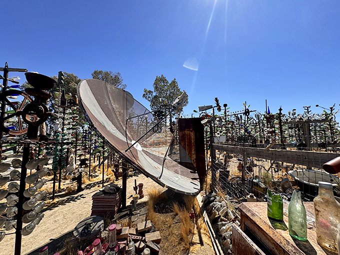 Even satellites get repurposed here! This dish probably once captured HBO, now it captures imaginations as desert art extraordinaire.