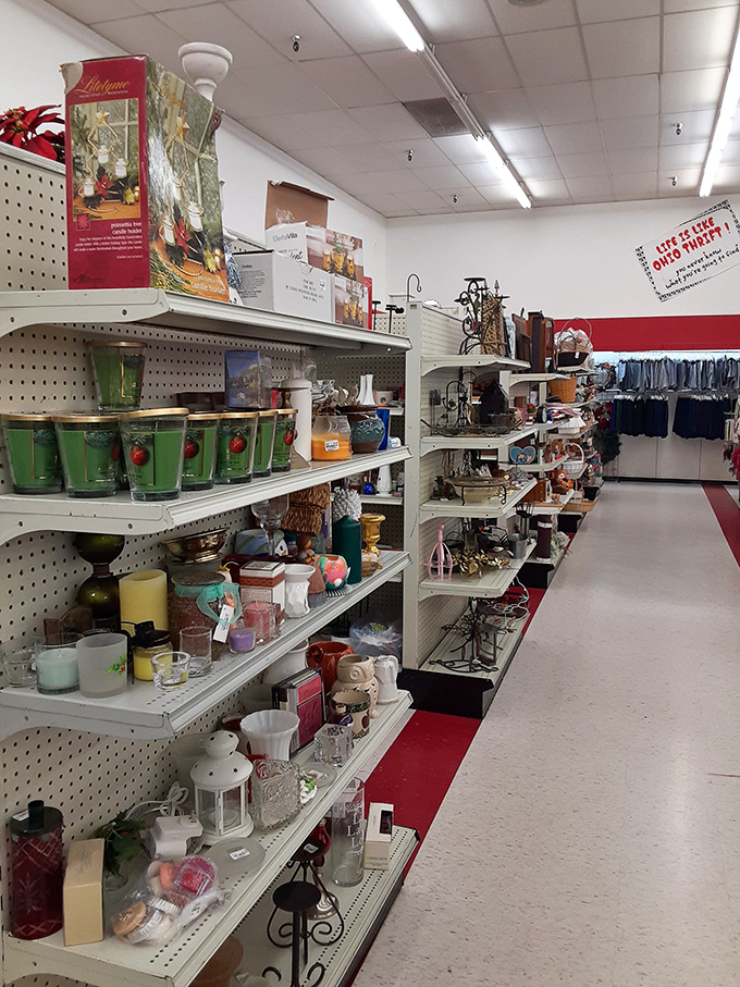 Glassware and home goods lined up like contestants in a beauty pageant of domestic practicality, each with a story to tell.