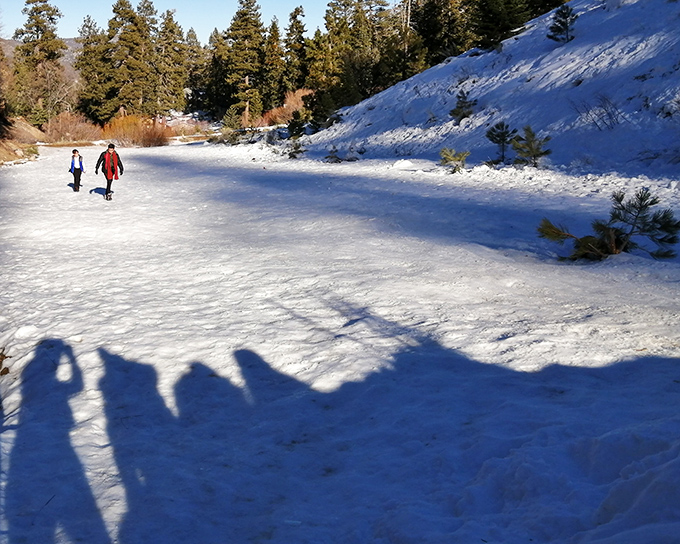 Winter wonderland isn't just a song here&mdash;it's what happens when Southern California remembers it can actually do seasons properly.