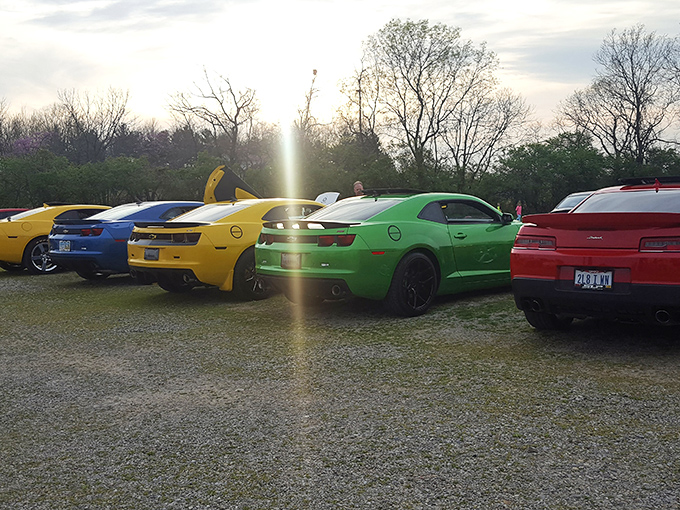 Muscle cars gather like colorful candies, their owners united by a love of horsepower and Hollywood under the stars. 