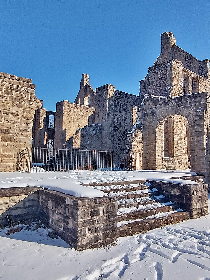 Winter strips away pretense, revealing the castle's bones in stark, haunting beauty against bare trees.
