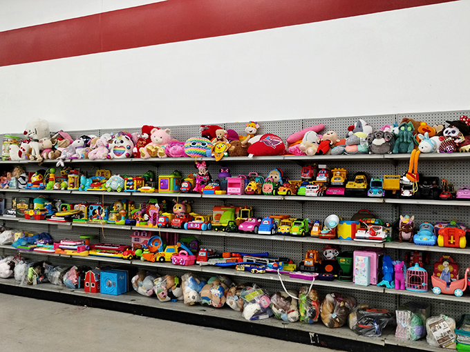 A rainbow explosion of childhood joy where stuffed animals stand guard over plastic playsets. Marie Kondo would have a panic attack, but kids see pure magic.