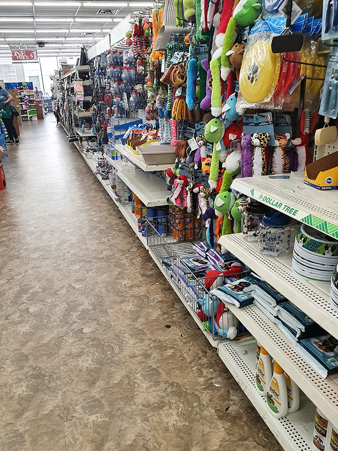 Plush paradise! A menagerie of soft companions dangles invitingly, proving that comfort doesn't need to come with a designer label or crushing debt.