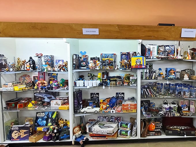 Star Wars meets vintage toys in a collector's paradise where every shelf holds childhood memories worth rediscovering.