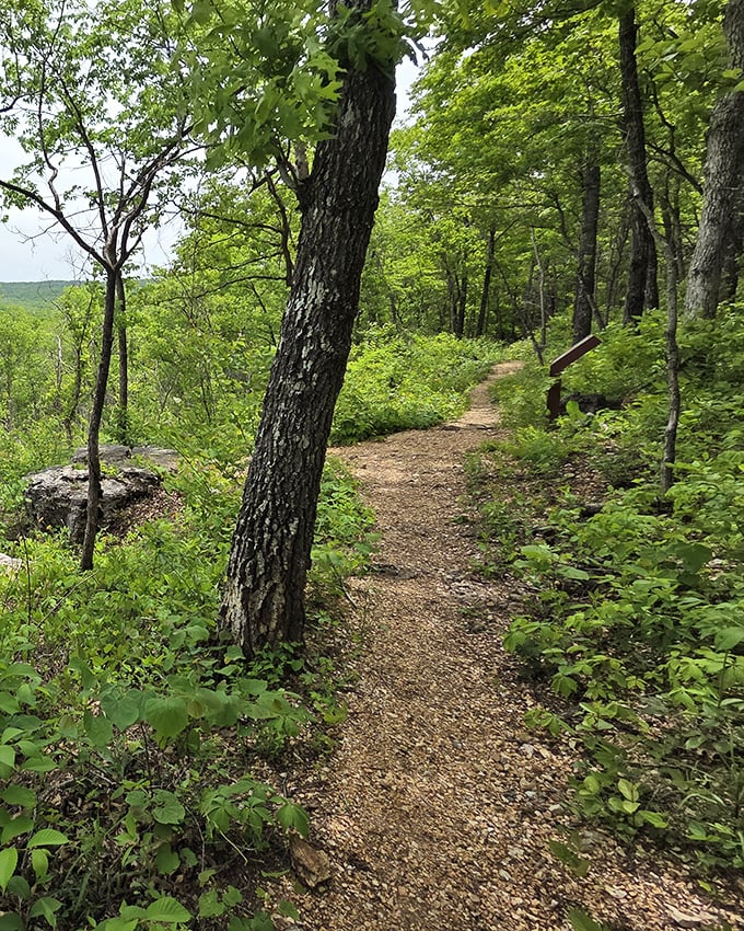 Nature's red carpet treatment. This winding path through the dappled light of the Ozark forest leads adventurers to underground wonders.